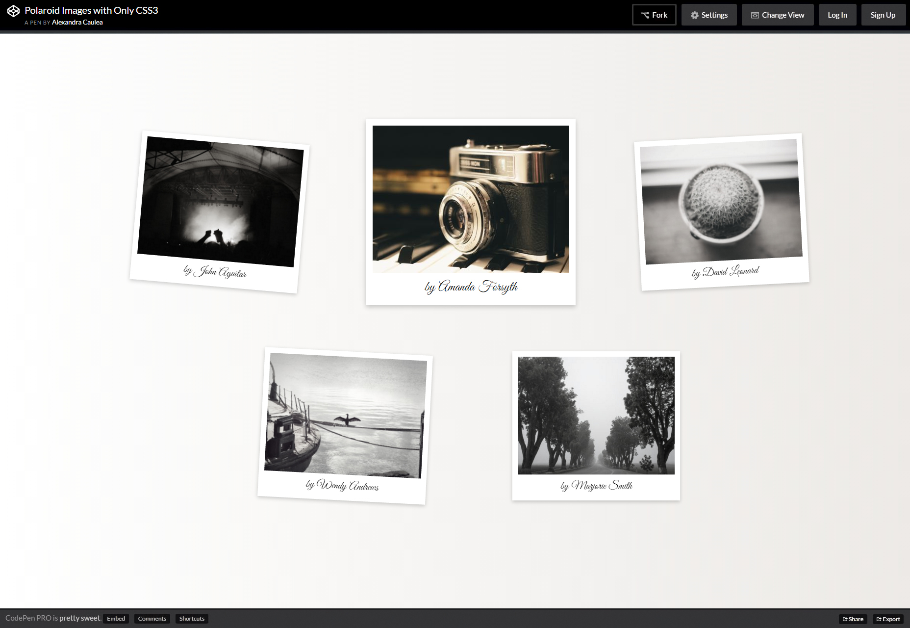 css3-only-polaroid-effects1 _ Jackchen Design 1984